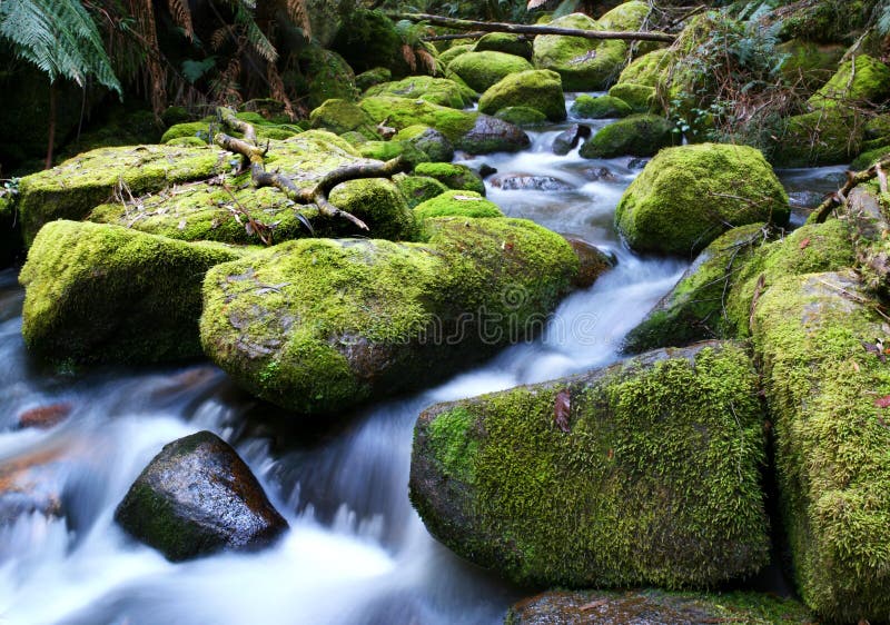 Río Que Se Ejecuta Sobre Rocas Cubiertas De Musgo Imagen de archivo ...