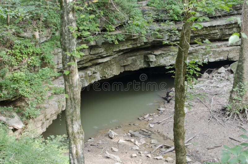 Manantial De Estix De Río En Cueva De Mamut Imagen de archivo - Imagen ...