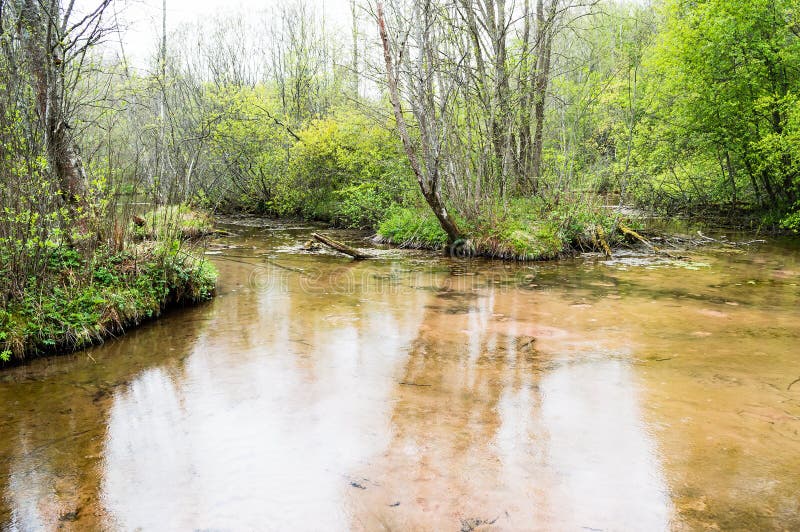 Río tranquilo foto de archivo. Imagen de calma, charca - 40725756