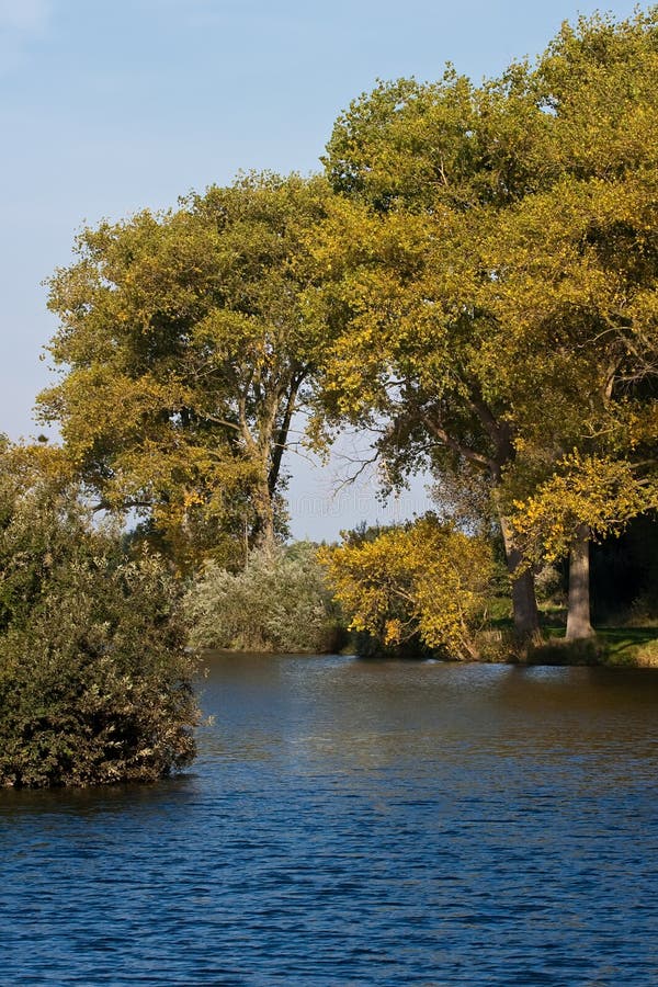 Río y árboles imagen de archivo. Imagen de canal, verano - 16844685