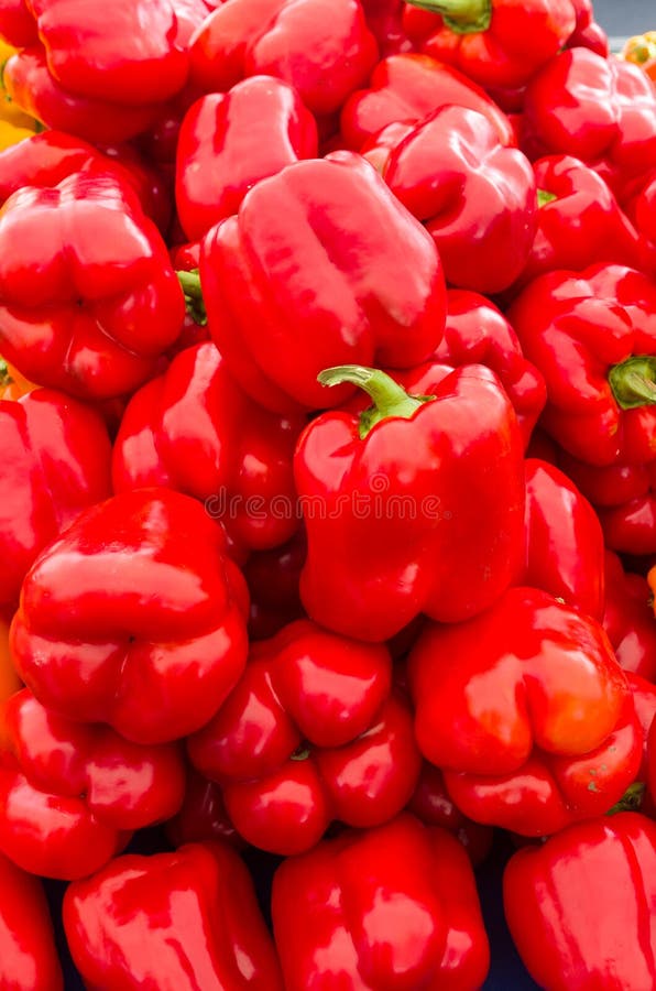 Röda söta spansk peppar fotografering för bildbyråer. Bild av ätligt ...