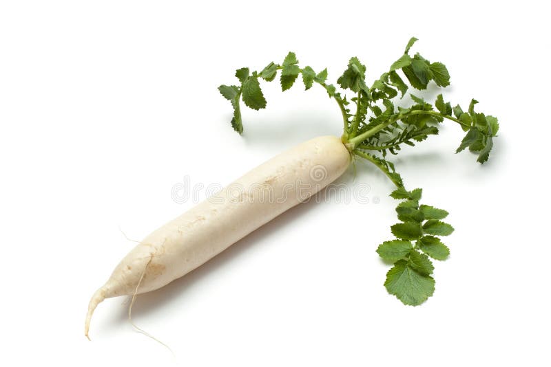 Frische weiße Rübe stockfoto. Bild von rübe, vitamine - 37359356