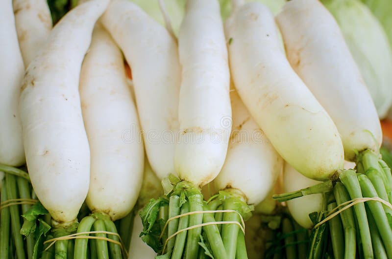 Frische weiße Rübe stockfoto. Bild von rübe, vitamine - 37359356