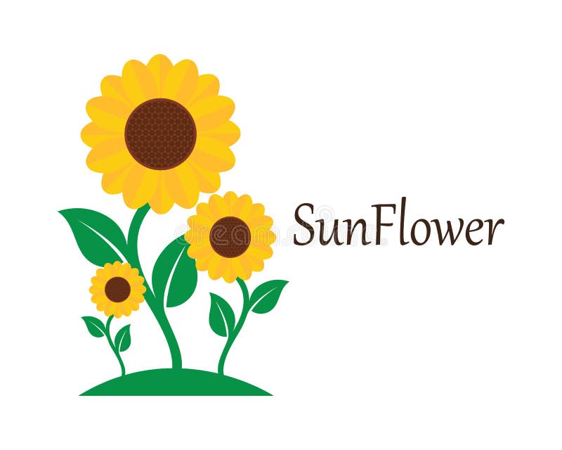 Sunflower Logo Vector Template Illustration Stock Vector - Illustration ...
