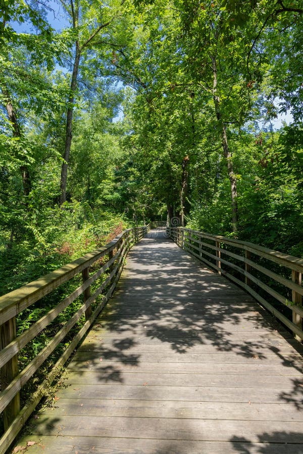 Boardwalk Near Big Walnut Creek in Gahanna Ohio during the Summer Near Creekside Park and ...