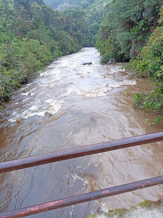 Ríos de Colombia stock image. Image of colo, rios, agua - 304950671