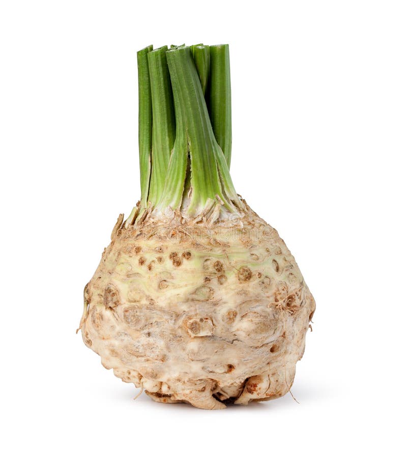 Raíz de apio foto de archivo. Imagen de orgánico, cocinero - 13441522