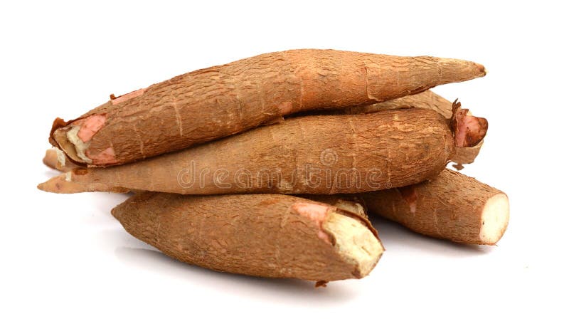 Raíz de la mandioca imagen de archivo. Imagen de comida - 90945453