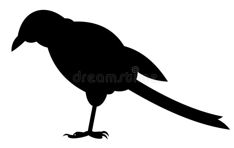 Raaf vector illustratie. Illustration of achtergrond - 11797105