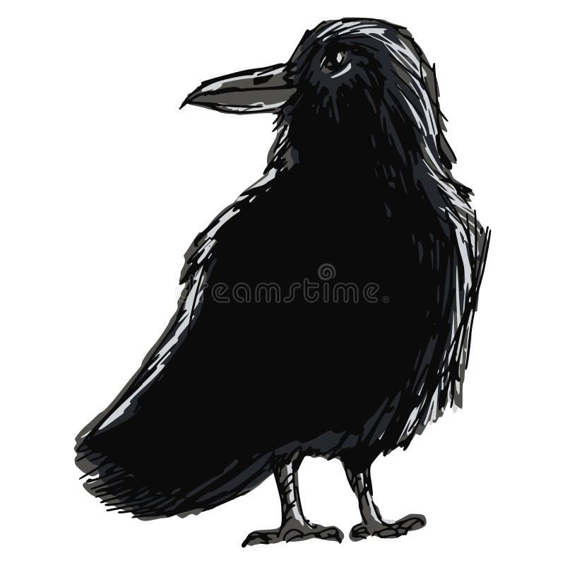 Raaf vector illustratie. Illustration of symbool, getrokken - 36401832