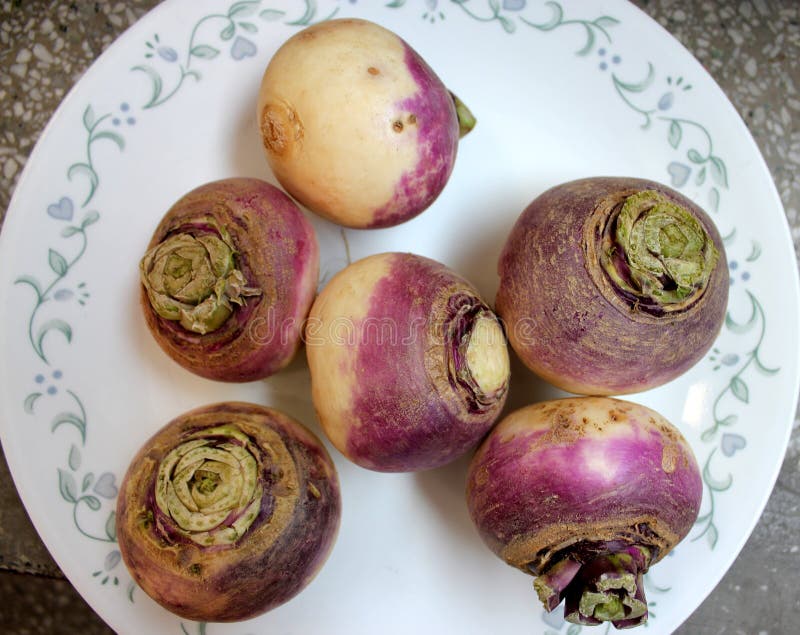 Raap stock foto. Image of bovenkant, plantaardig, vlees - 34897058