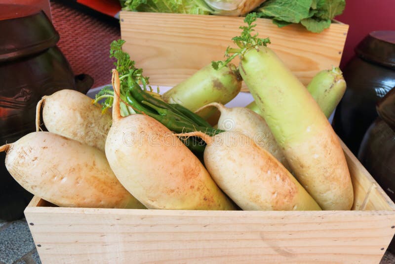 Rabanete branco coreano imagem de stock. Imagem de ingredientes - 47056165