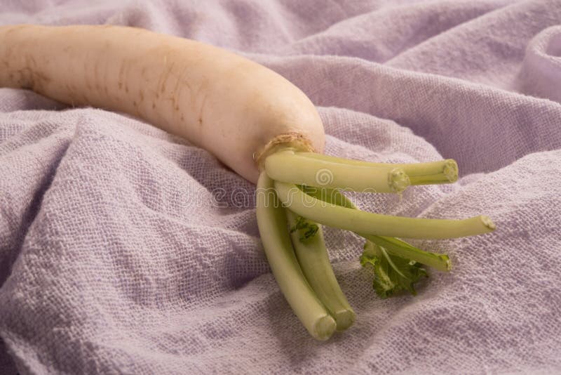 Rabanete Branco No Pano Roxo Da Cor Foto de Stock - Imagem de fruta ...