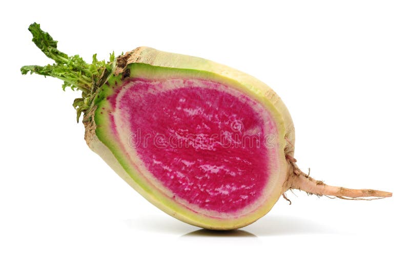 Rabanete roxo no est?dio imagem de stock. Imagem de roxo - 145834403