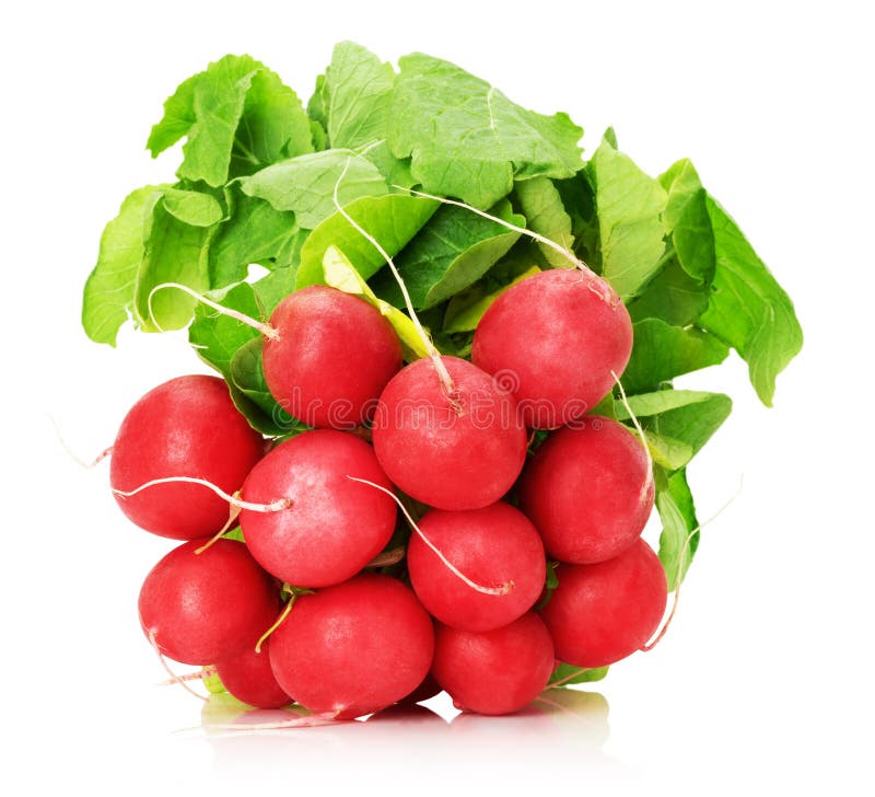 Rabanetes Isolados Sobre Fundo Branco Foto de Stock - Imagem de ...