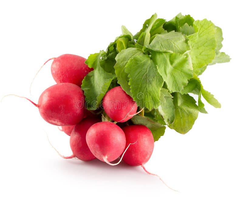 Rabanete Isolado Em Um Fundo Branco Foto de Stock - Imagem de fundo ...