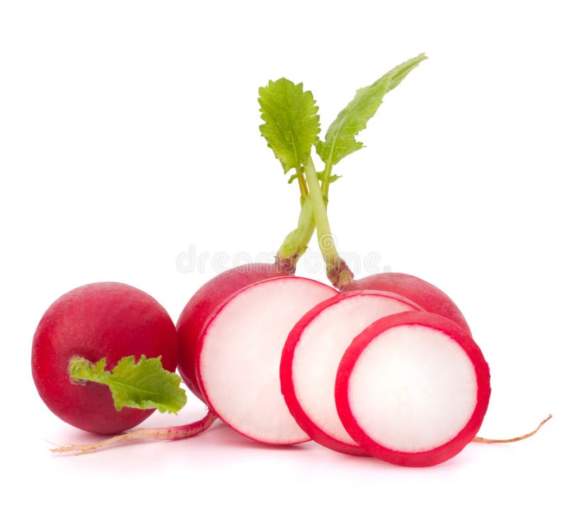 Rabanete pequeno do jardim foto de stock. Imagem de rabanete - 34286514