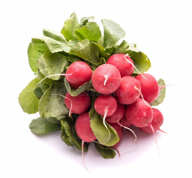 Rabanete. Um Monte De Rabanete Com Folhas. Isolar Em Fundo Branco ...