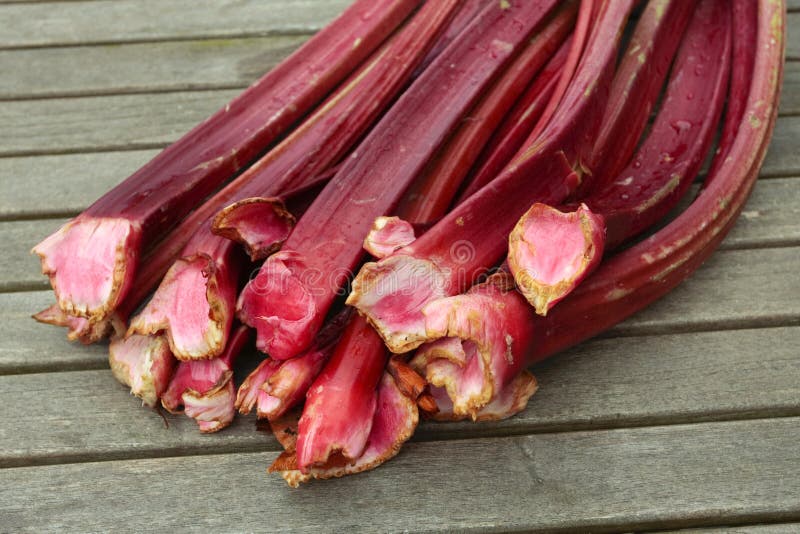 Rabarbaro Fresco Sulla Tabella Fotografia Stock - Immagine di budino ...
