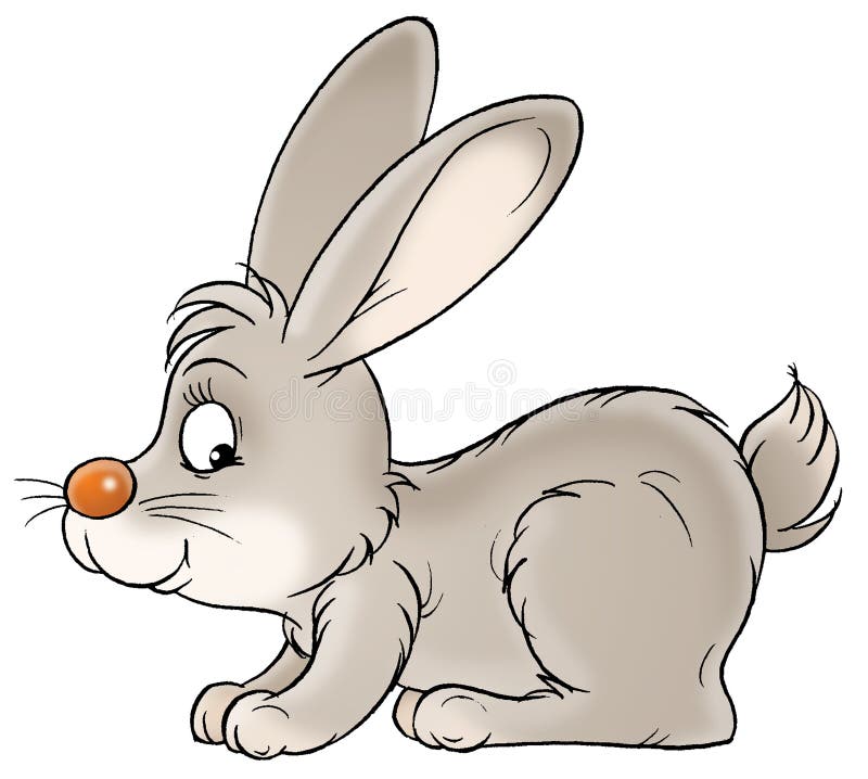 Rabbit stock illustration. Illustration of funny, humorous - 1660373