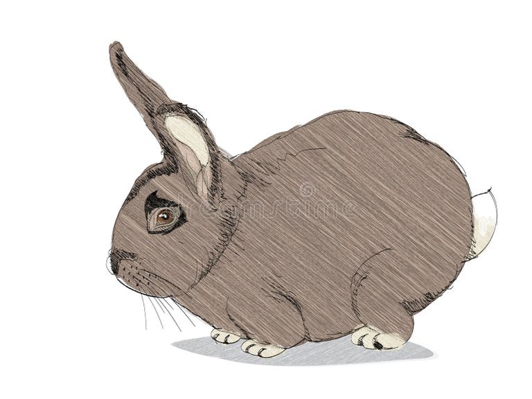 Cartoon Black Rabbit Portrait Stock Illustrations – 784 Cartoon Black ...