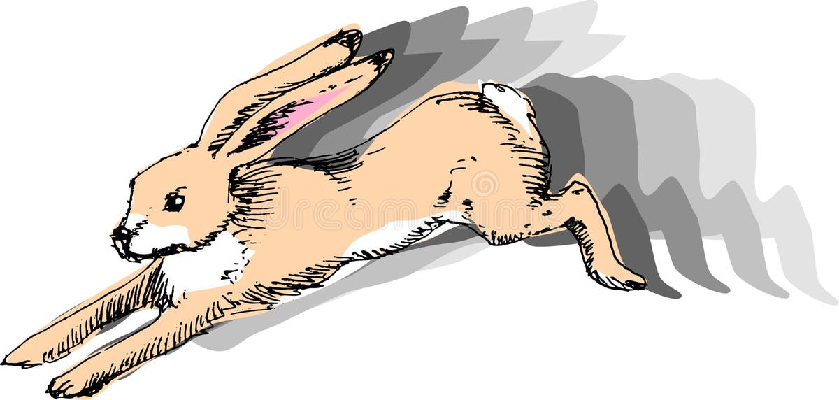 Jumping Rabbit Stock Illustrations – 7,166 Jumping Rabbit Stock ...