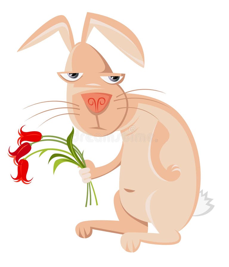 Confused Rabbit Stock Illustrations – 212 Confused Rabbit Stock ...
