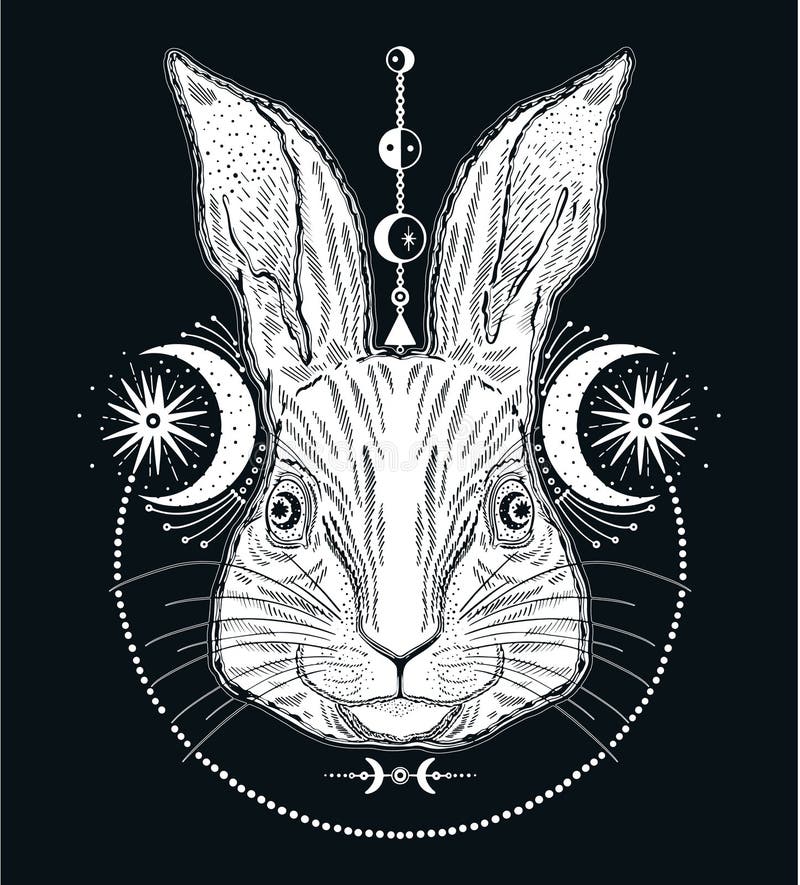 Rabbit Animal Magic Drawing Line.Vintage Style Tattoo Stock ...