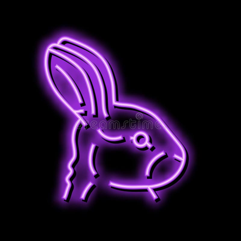 Rabbit Animal Zoo Neon Glow Icon Illustration Stock Vector ...