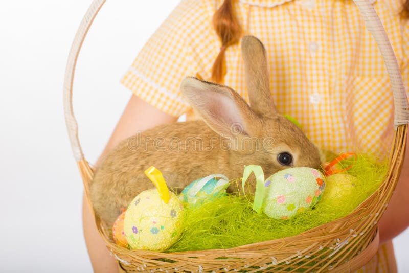 Rabbit in Basket Easter Eggs Stock Image - Image of female, hair: 49457235