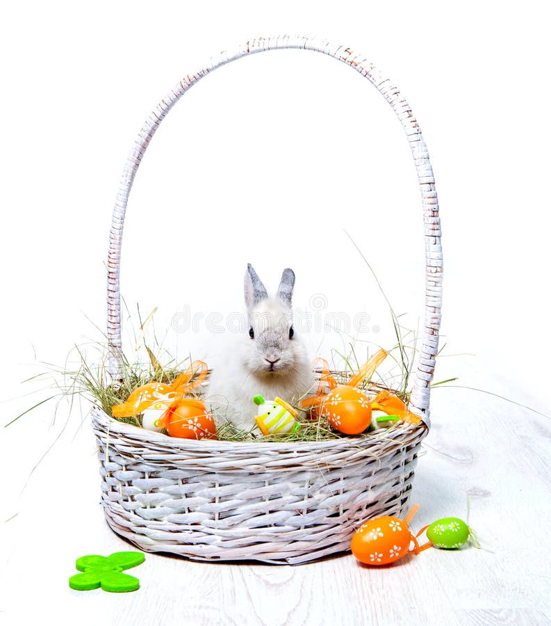 Rabbit in a basket stock photo. Image of culture, bunny - 36581702