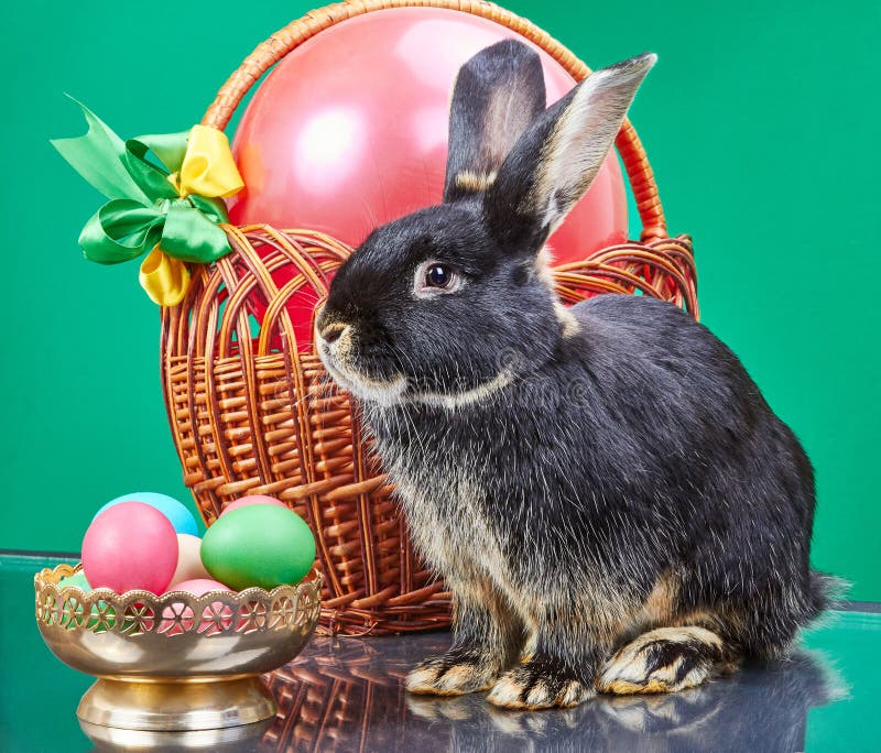 Rabbit Basket with a Red Balloon and a Vase with Easter Eggs Stock ...