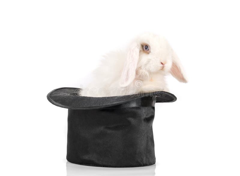 Cute Rabbit in Top Hat and Bow-ti Stock Photo - Image of artifact ...