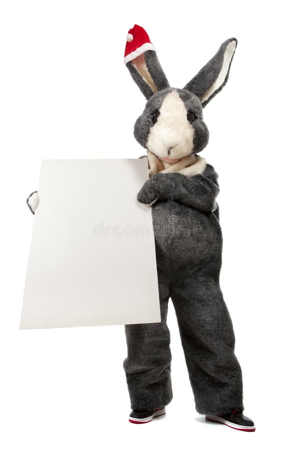 Easter Rabbit on the Road stock image. Image of field - 13553239