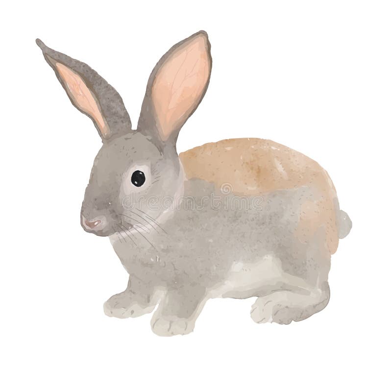 Rabbit or Bunny Hand Painted Watercolor Illustration Isolated on White ...