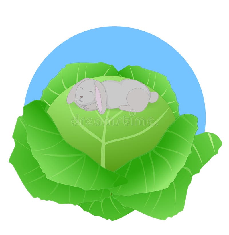 Rabbit on the cabbage stock illustration. Illustration of lying - 53966231