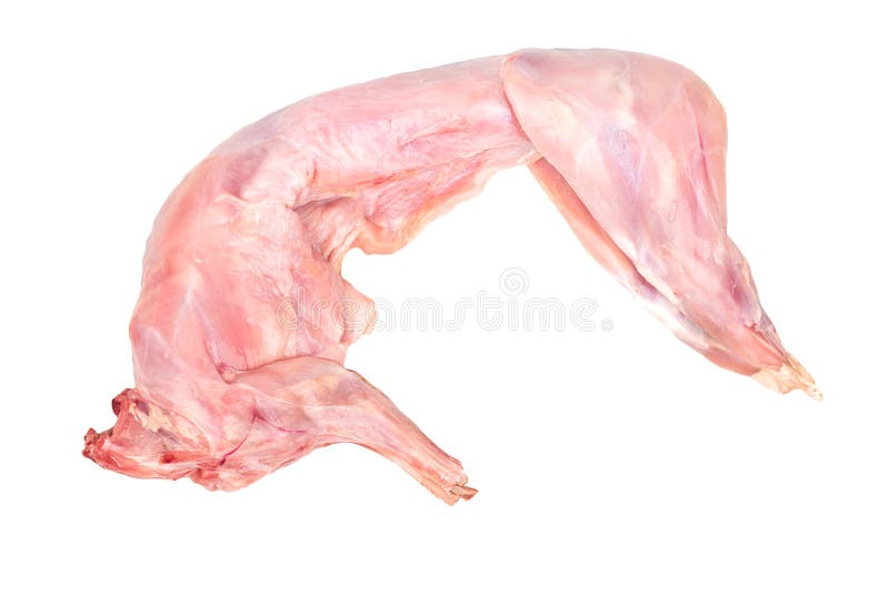 Rabbit carcass isolated stock image. Image of organic - 107670881