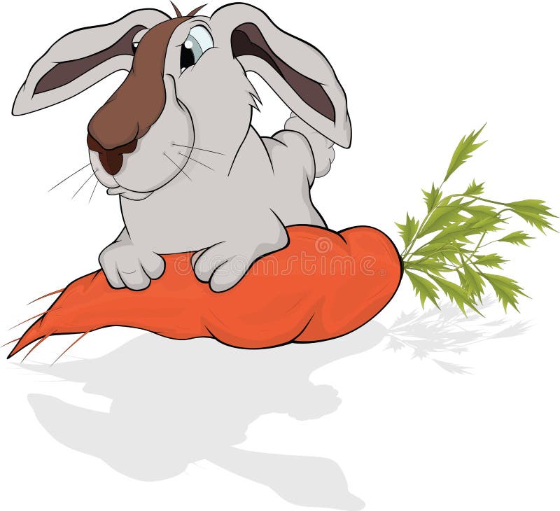 Rabbit and carrot. Cartoon stock vector. Illustration of greedy - 20886755