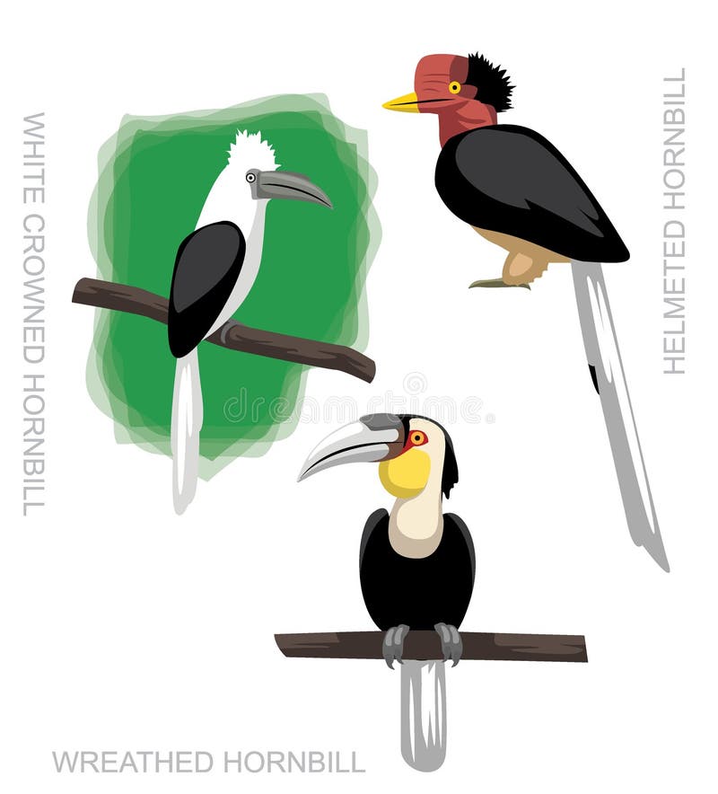 Wreathed Hornbill , Hand Draw Sketch Vector. Stock Vector ...