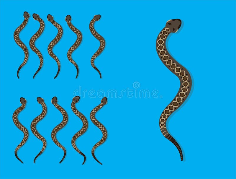 Rattlesnake Cartoon stock vector. Illustration of cartoon - 16771870