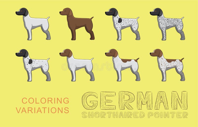 Dog German Shorthaired Pointer Coloring Variations Cartoon Vector ...