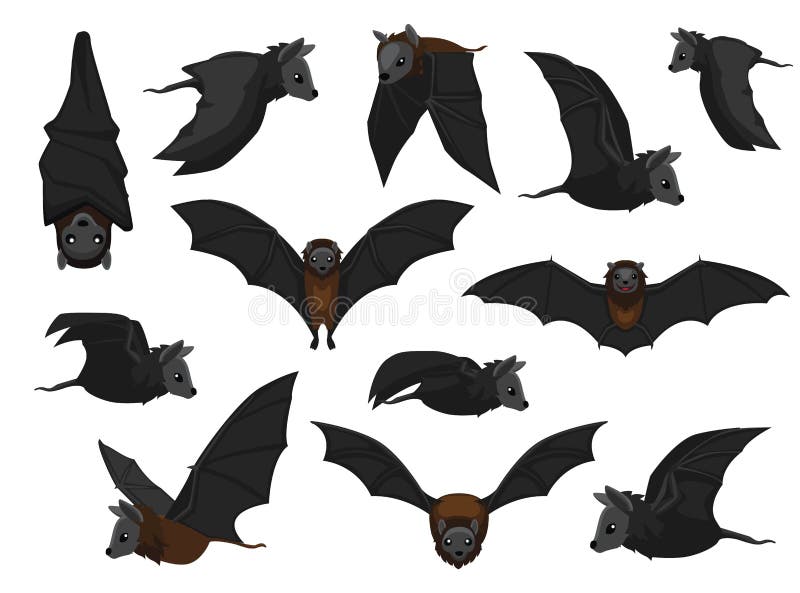 Bat Mammal Flying Motion Sequence Animation Cartoon Vector Illustration ...