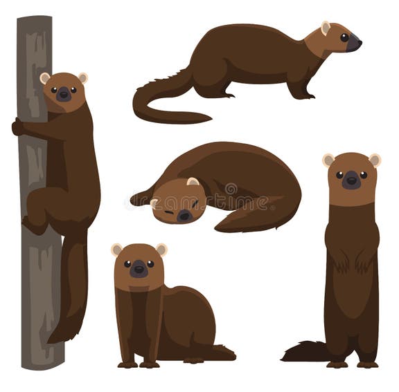 Cute Animal Fisher Cartoon Vector Illustration Stock Vector ...