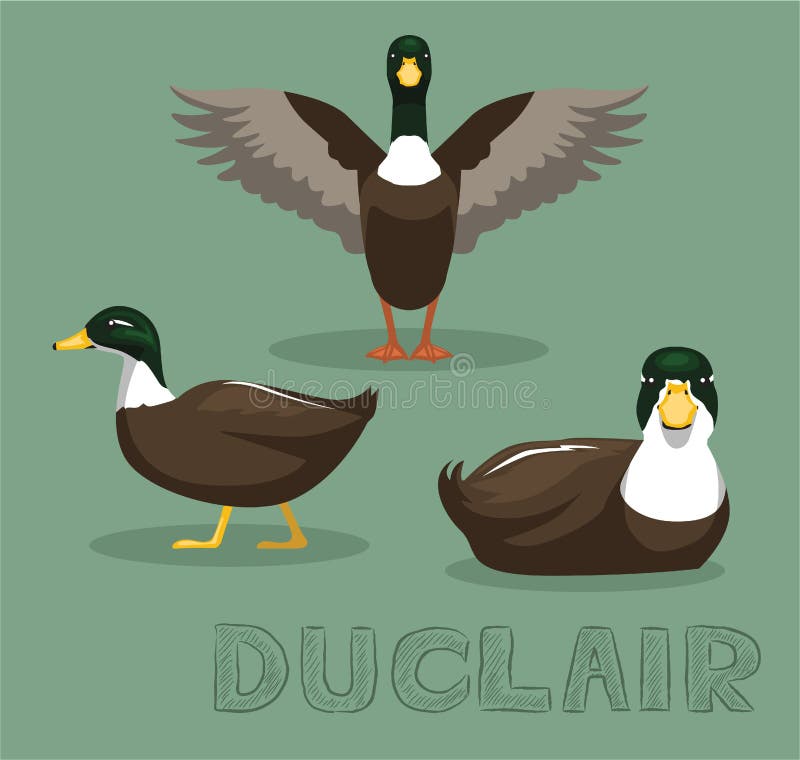 Duck Duclair Stock Illustrations – 4 Duck Duclair Stock Illustrations ...