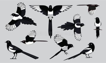 Flying Magpie Stock Illustrations – 599 Flying Magpie Stock ...