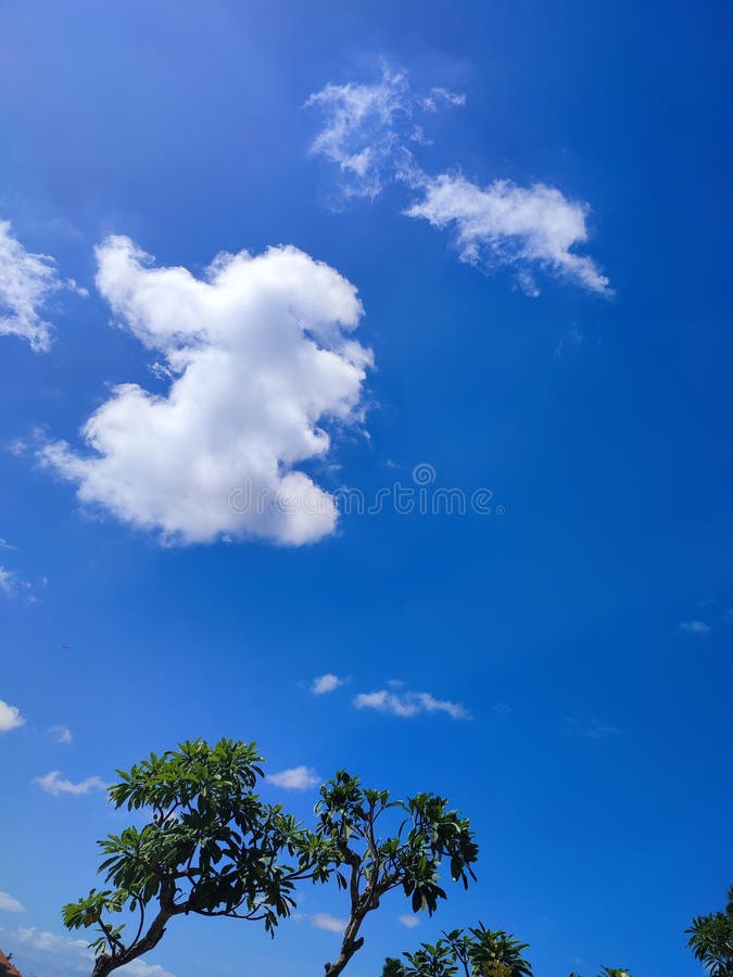Rabbit Shaped Cloud Stock Photos - Free & Royalty-Free Stock Photos ...