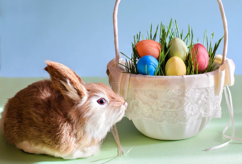 Rabbit and Easter Eggs in the Basket Stock Image - Image of holiday ...