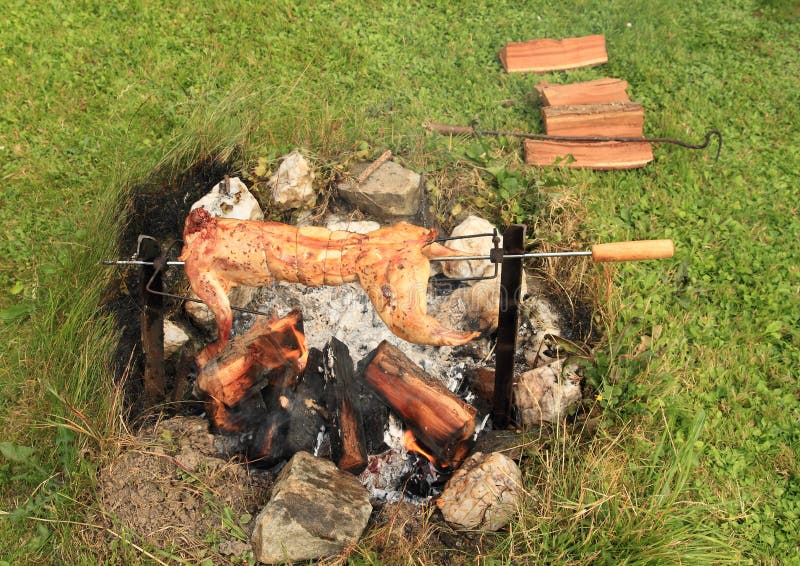 Rabbit Cooked on Opened Fire Stock Photo - Image of meat, cuissine ...