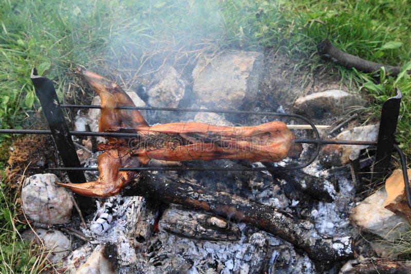 Rabbit Cooked on Opened Fire Stock Image - Image of fireplace, broil ...