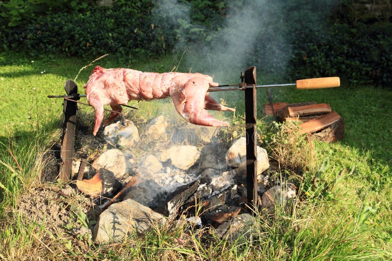 Rabbit Cooked on Opened Fire Stock Photo - Image of firing, meal: 56860910